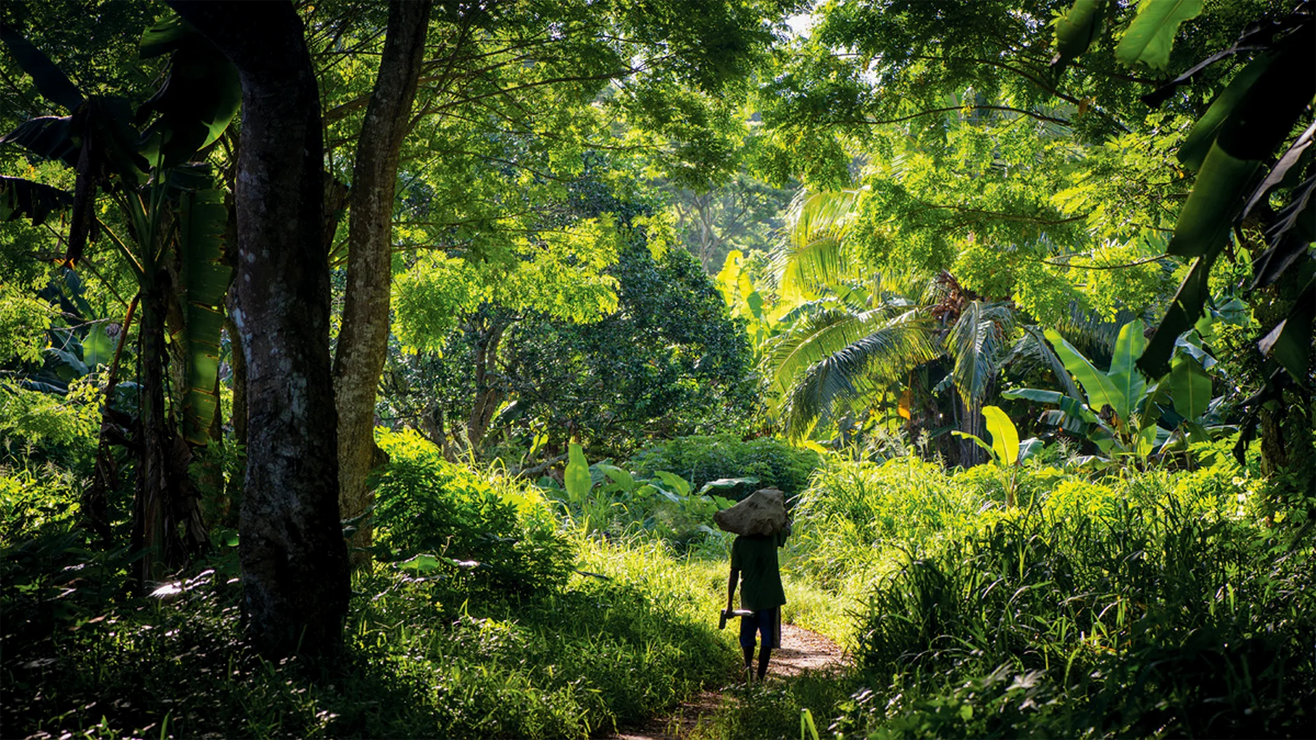 The Christensen Fund Details Indigenous Peoples and Local Communities ...
